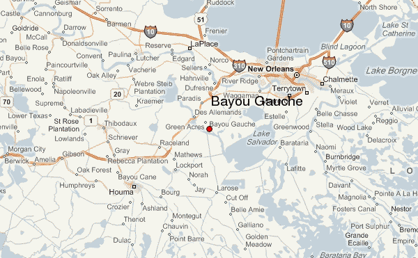 bayou - JungleKey.fr Image #450